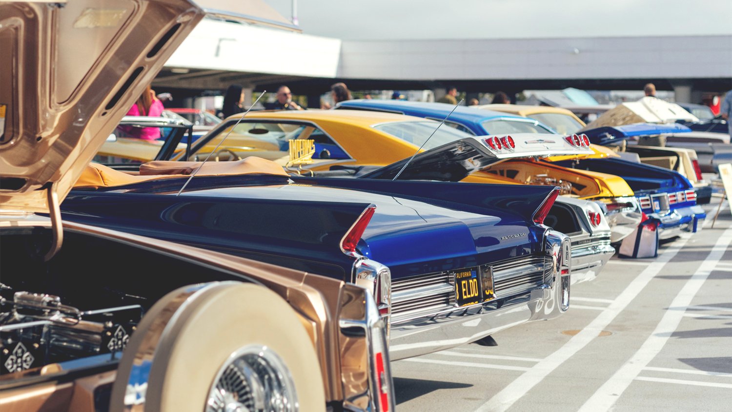 Jim Donnelly On Wheels – A gaze inside the world of cars and motorsport